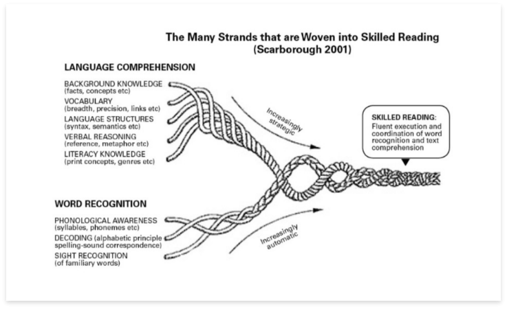 Building Writers - Science of Reading and Writing | Learning Without Tears